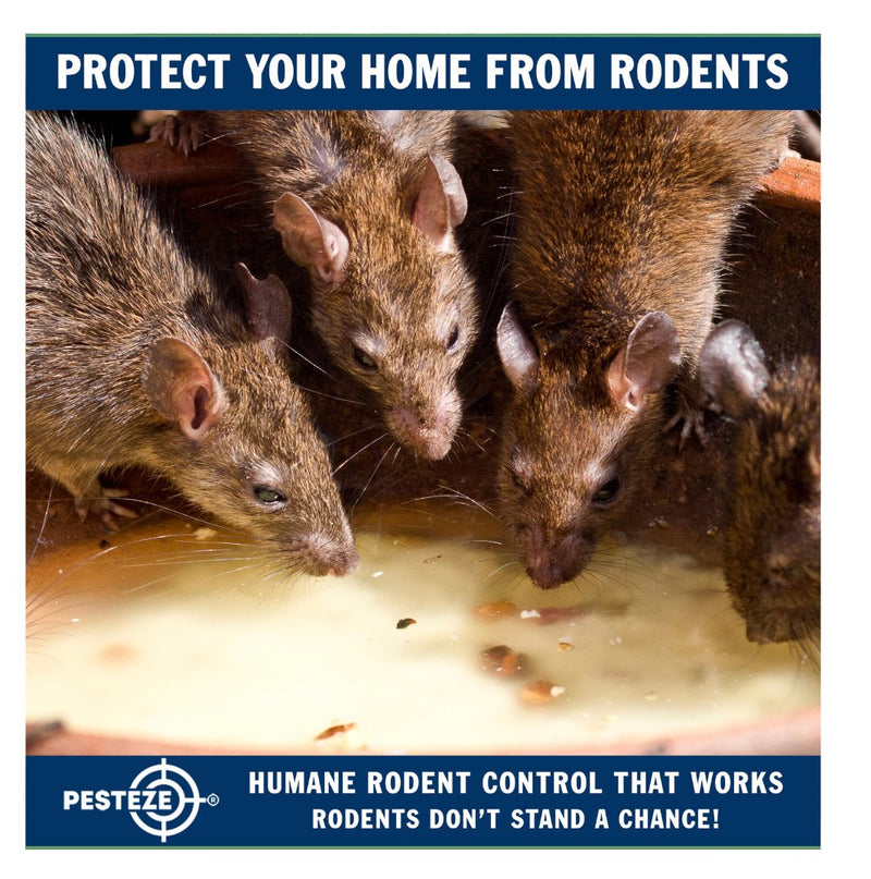 THE COST OF RODENT INFESTATIONS FOR BUSINESSES: PREVENTION SAVES MONEY ...
