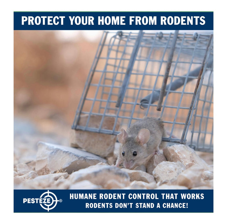 Best Smart Rodent Traps of 2025 – High-Tech, Humane Pest Control ...