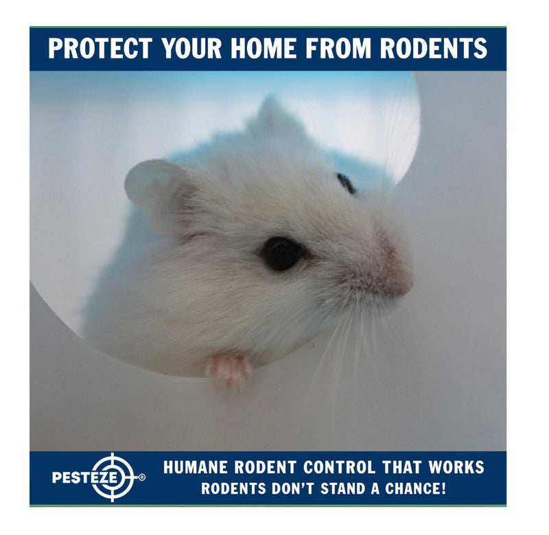 Rodent-Proofing Your Home Like a Pro – Advanced Pest Prevention ...