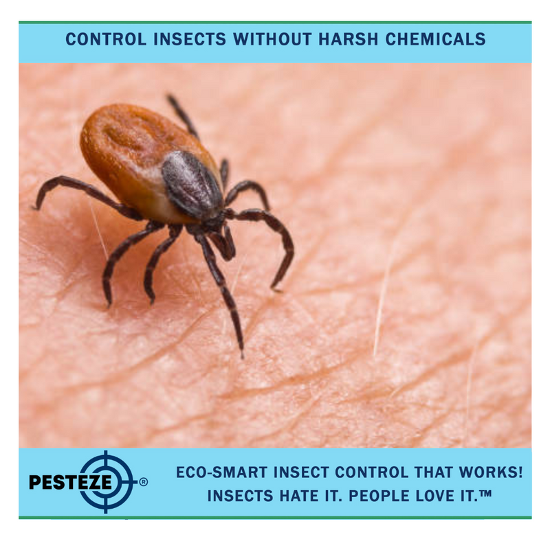 HOW TO DETER TICKS FROM LAWNS - Pesteze
