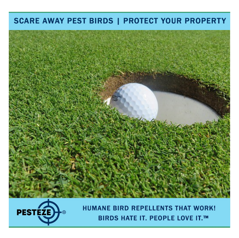 HOW TO DETER BIRDS FROM GOLF COURSES: PROTECT THE GREENS WITH SMART ...