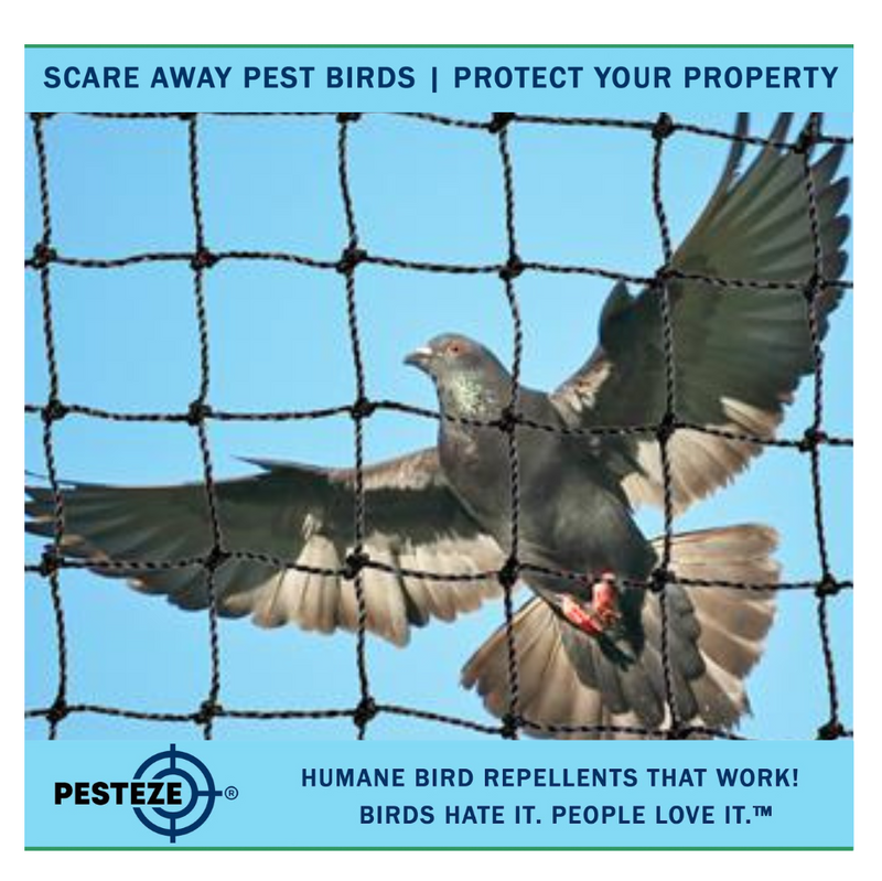 HOW TO DETER BIRDS FROM NEW CONSTRUCTIONS: KEEP YOUR SITE BIRD-FREE ...
