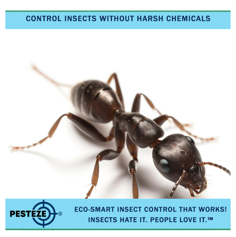PROTECT PLAYTIME: KEEP FIRE ANTS OUT OF SANDBOXES - Pesteze