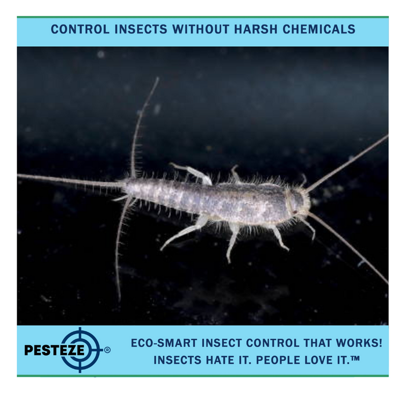 Best Natural Silverfish Repellents for a Pest-Free Home – Pesteze