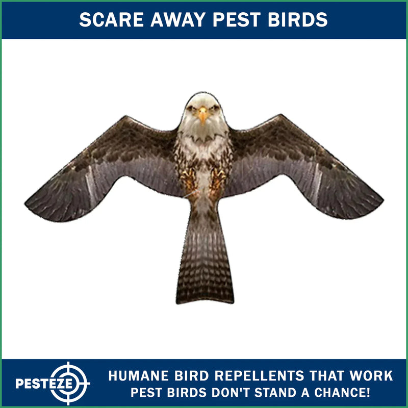 PESTEZE® Launches Flying Eagle Kite for Humane Bird and Critter Deterr ...