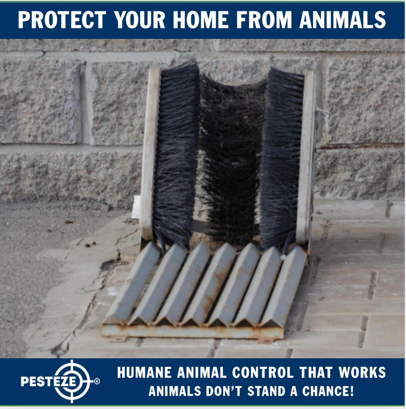 GUIDE TO NON-LETHAL ANIMAL CONTROL TOOLS – Pesteze