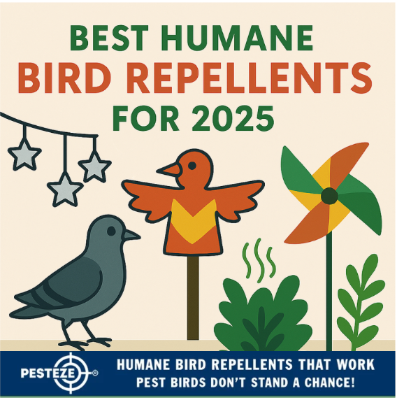 BEST HUMANE BIRD REPELLENTS FOR 2025 - Pesteze