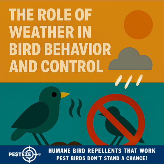 THE ROLE OF WEATHER IN BIRD BEHAVIOR AND CONTROL - Pesteze