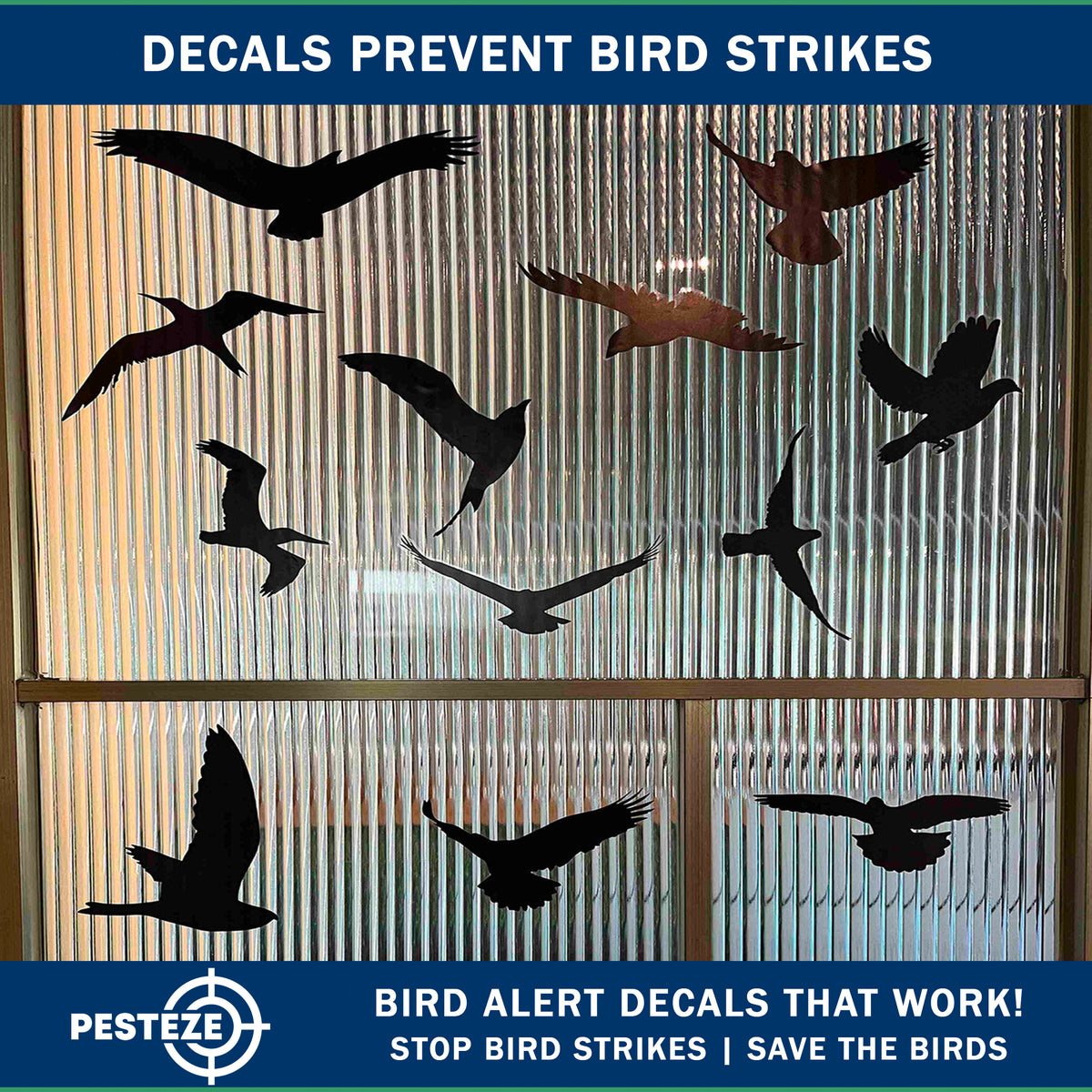 PESTEZE® Black Hummingbirds Anti-Strike Window Decals – Prevent Bird ...