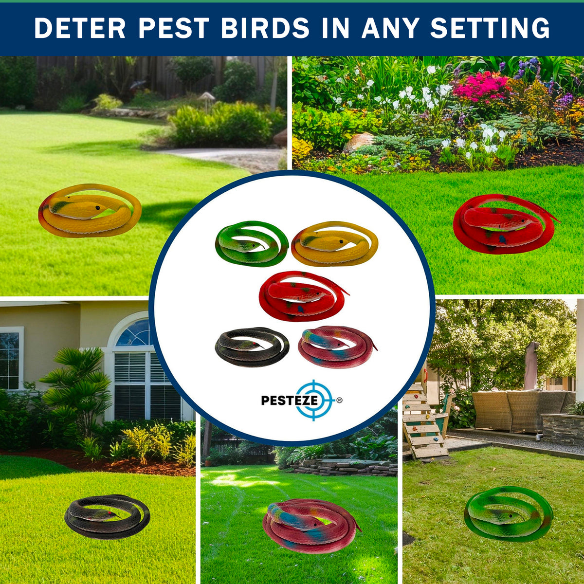 PESTEZE® Variety 27 Inch Realistic Rubber Snakes [5 Pack] – Humane Bird ...