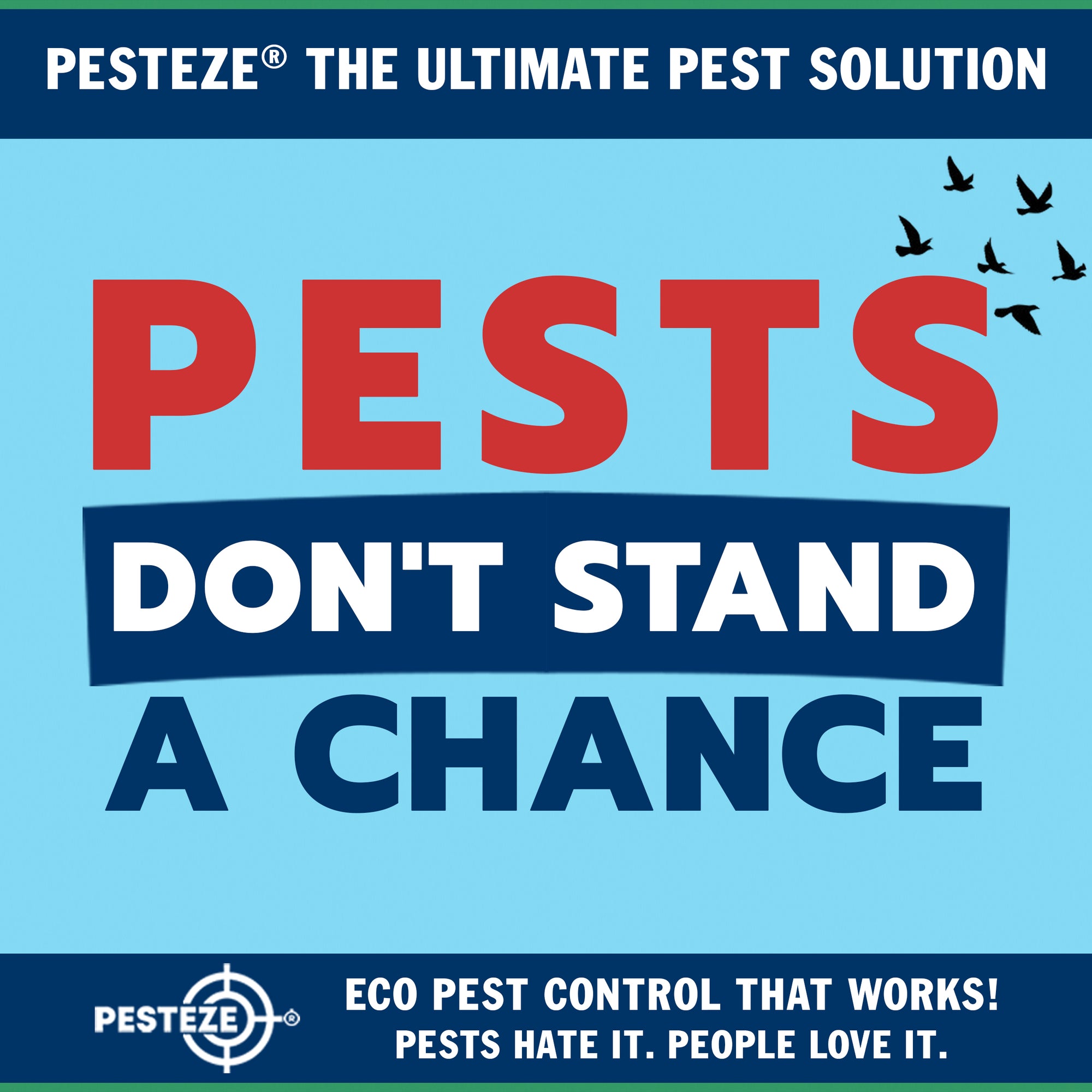 Eco-Smart Pest Control that Works | Pests Don't Stand a Chance! – Pesteze